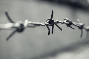 ¿Qué fue La Shoá? – Museo del Holocausto de Buenos Aires